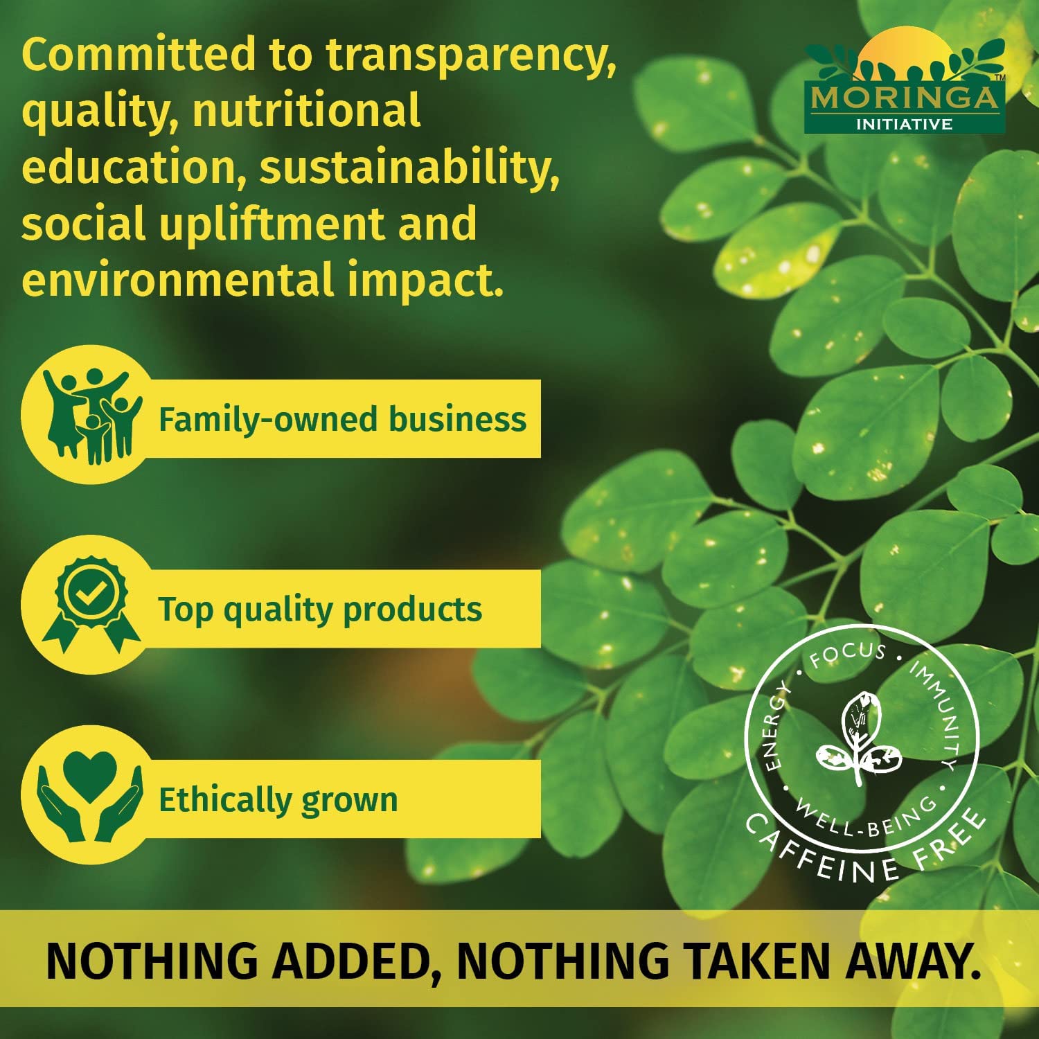 Moringa Oleifera for stress relief