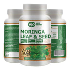 Moringa Oleifera powder health benefits