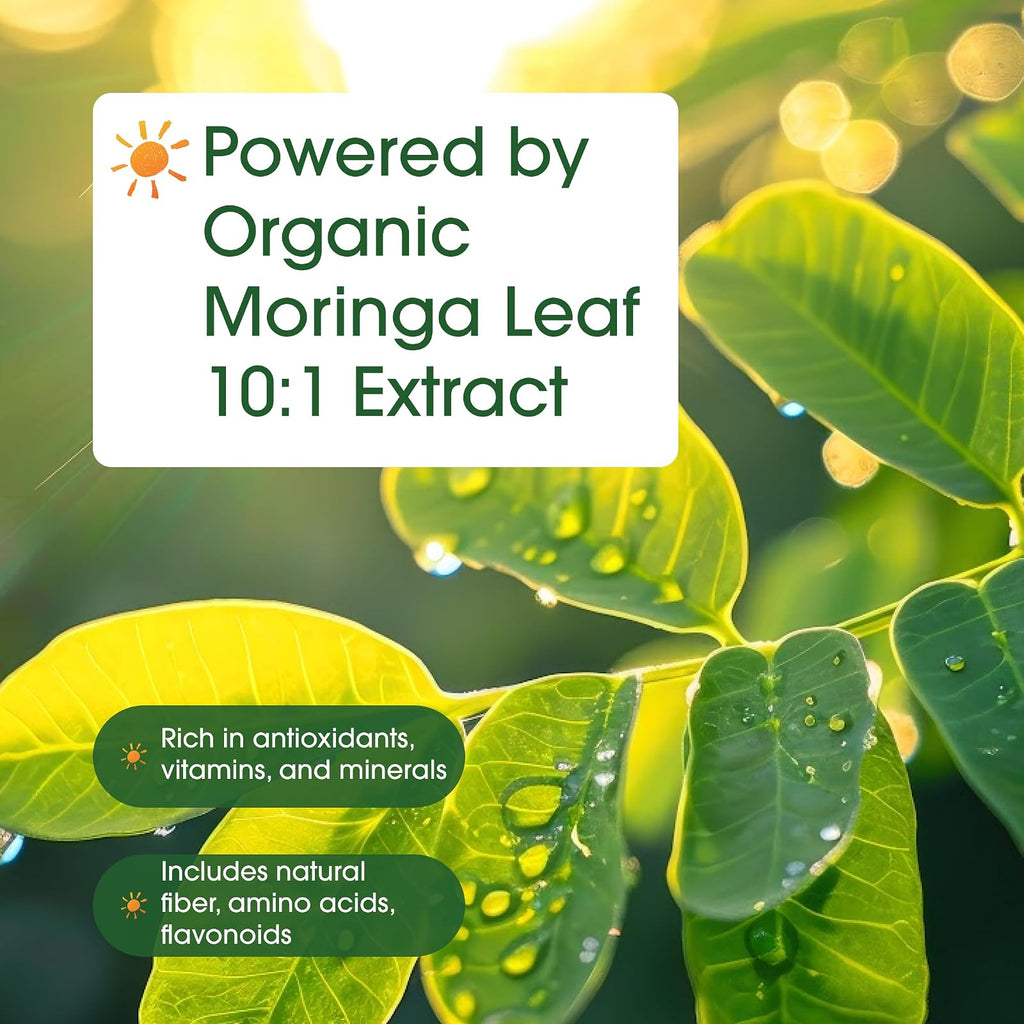 Moringa powder alternative in capsules