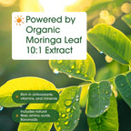 Moringa powder alternative in capsules