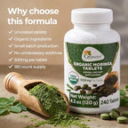 Moringa powder alternative in tablet form