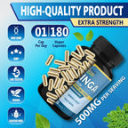Moringa powder benefits for holistic living