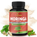 Moringa powder capsules for wellness