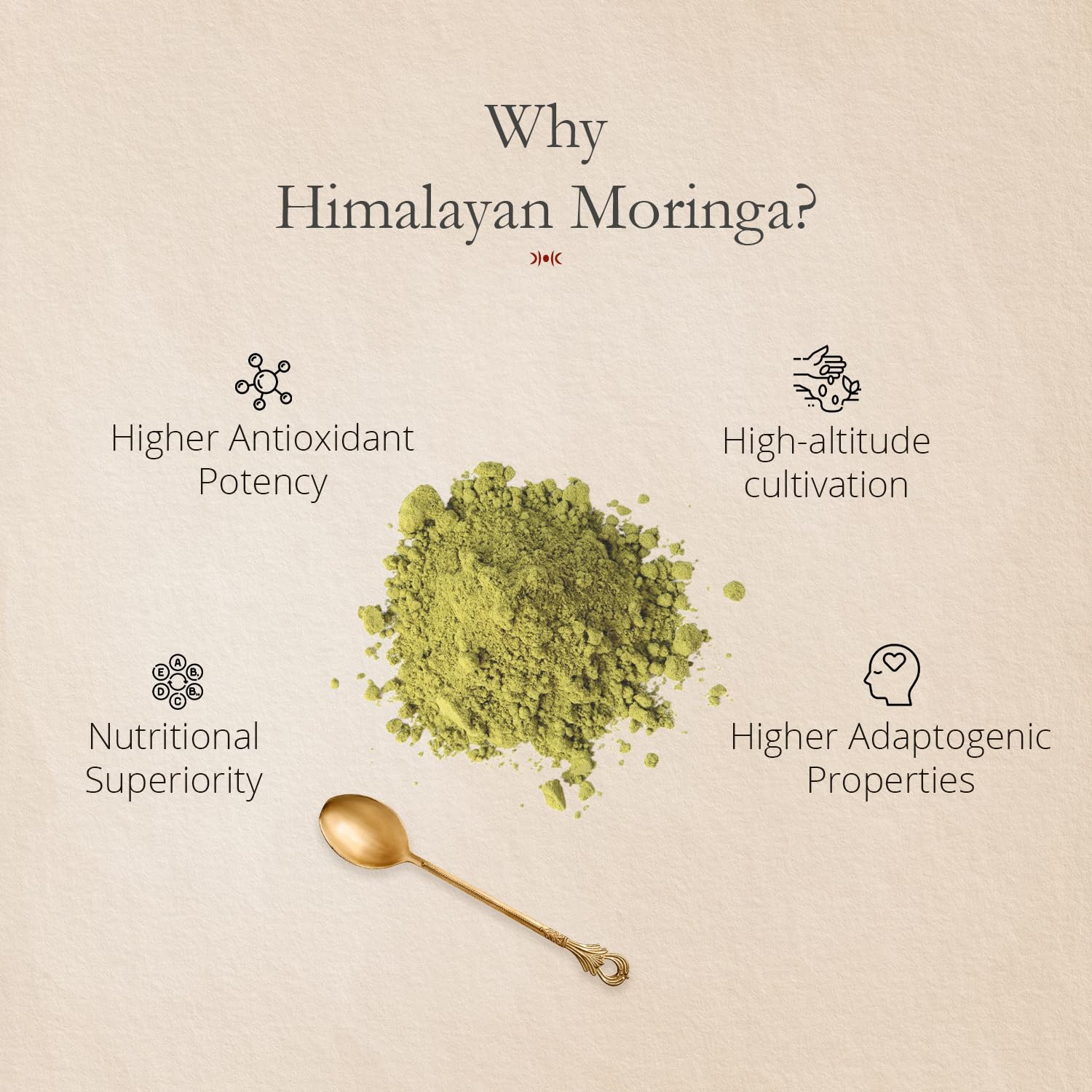 moringa powder enhances overall well-being