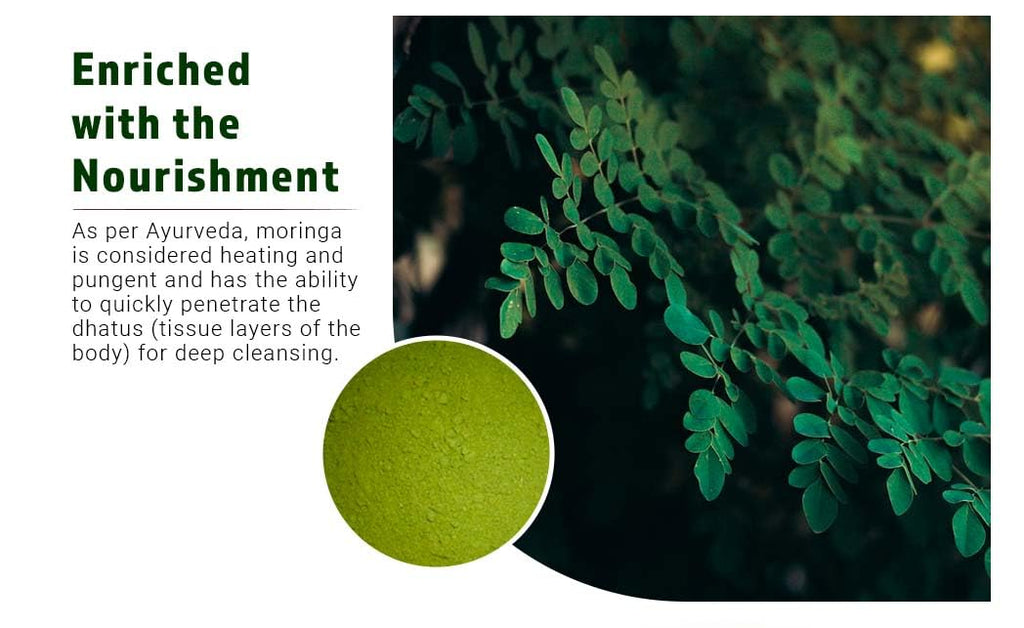 Moringa powder for balanced nutrition