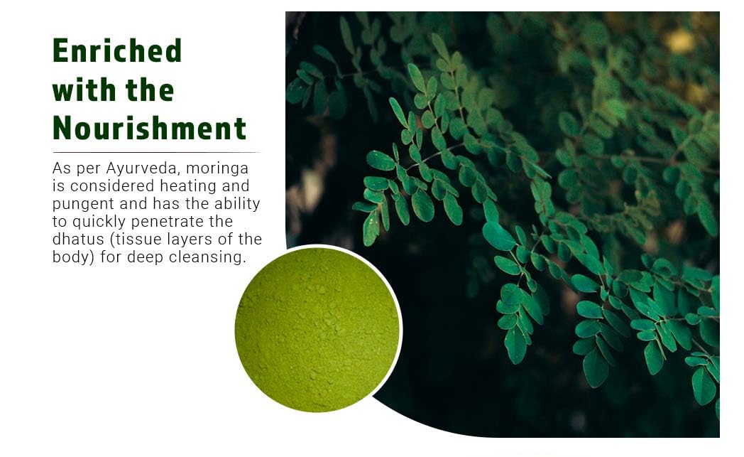 Moringa powder for balanced nutrition