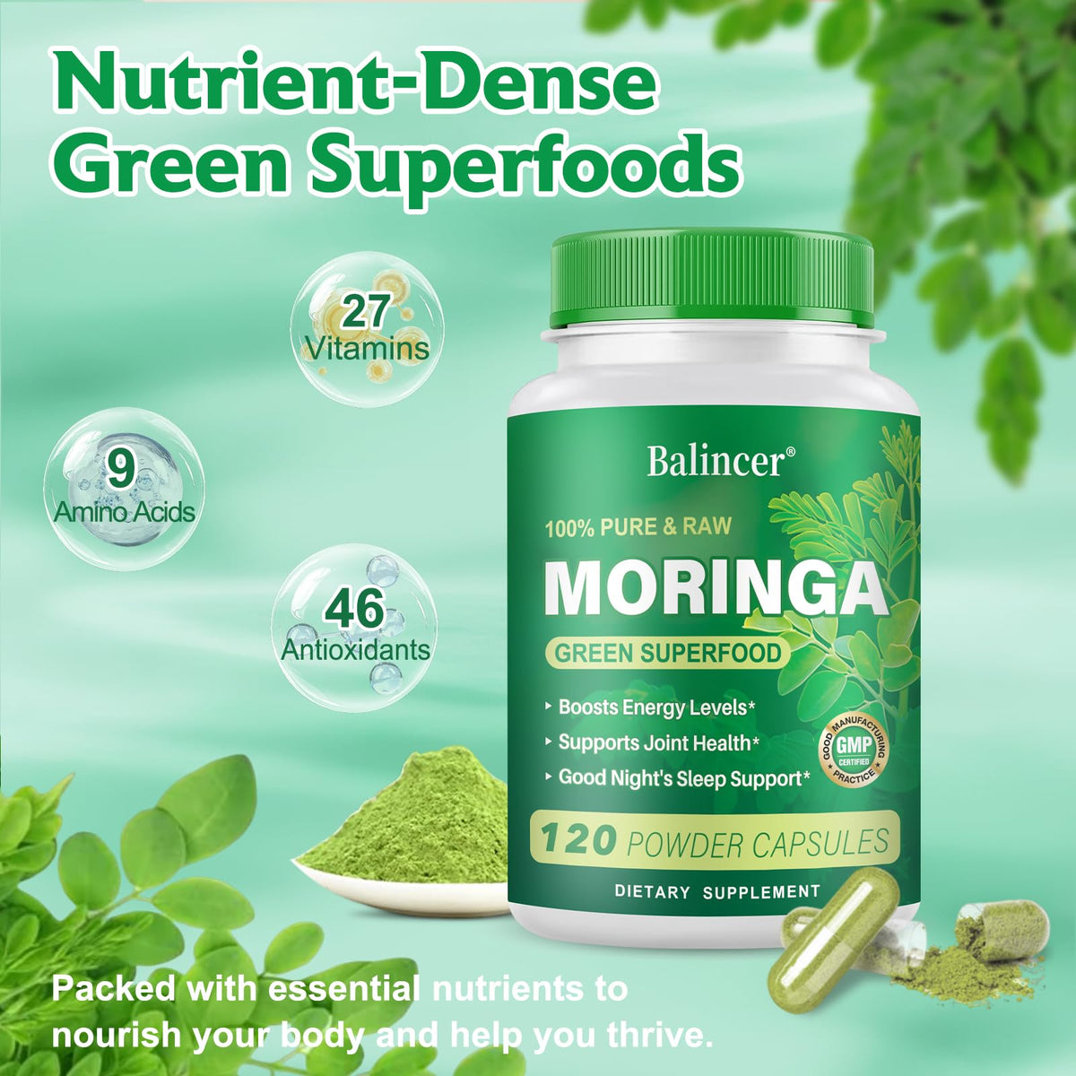 moringa powder for daily nutrition