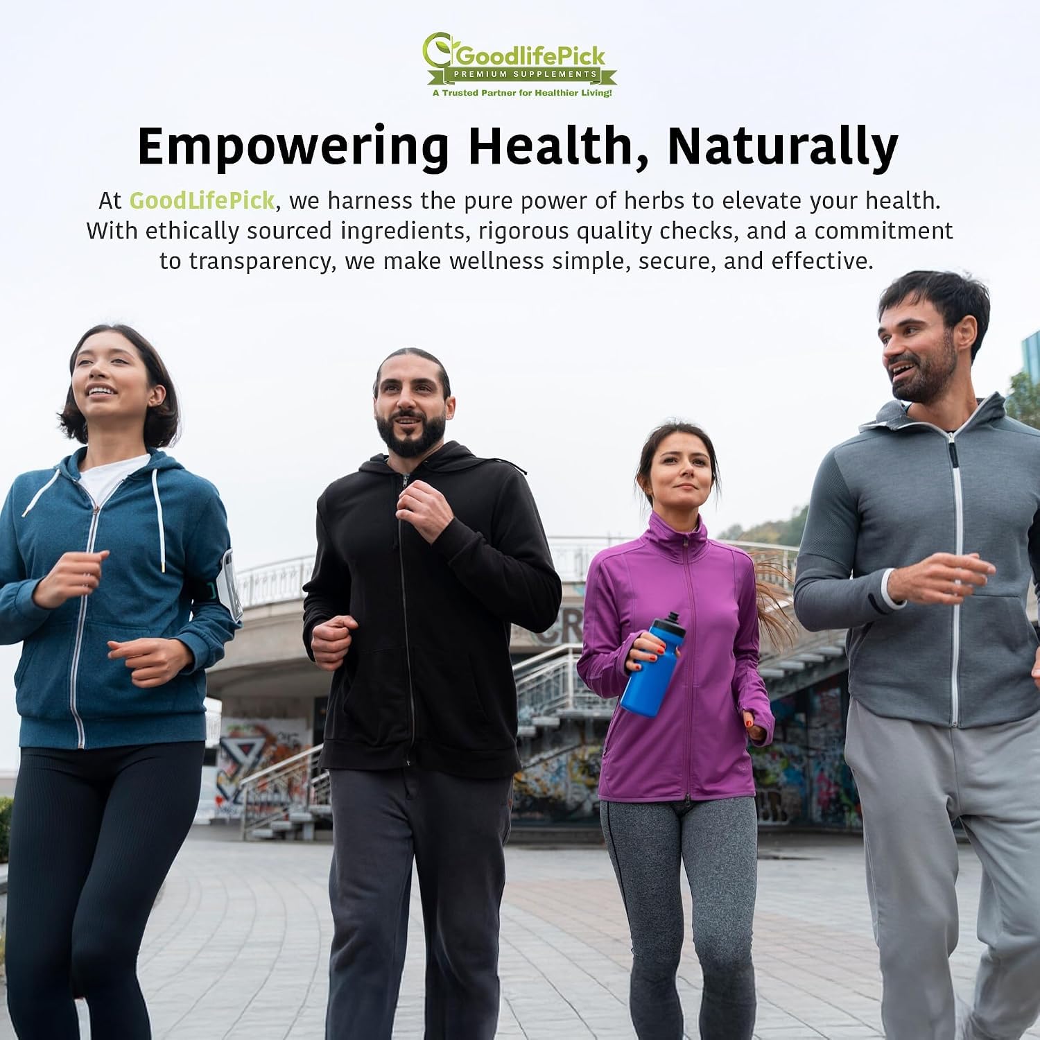 Moringa powder for daily nutrition