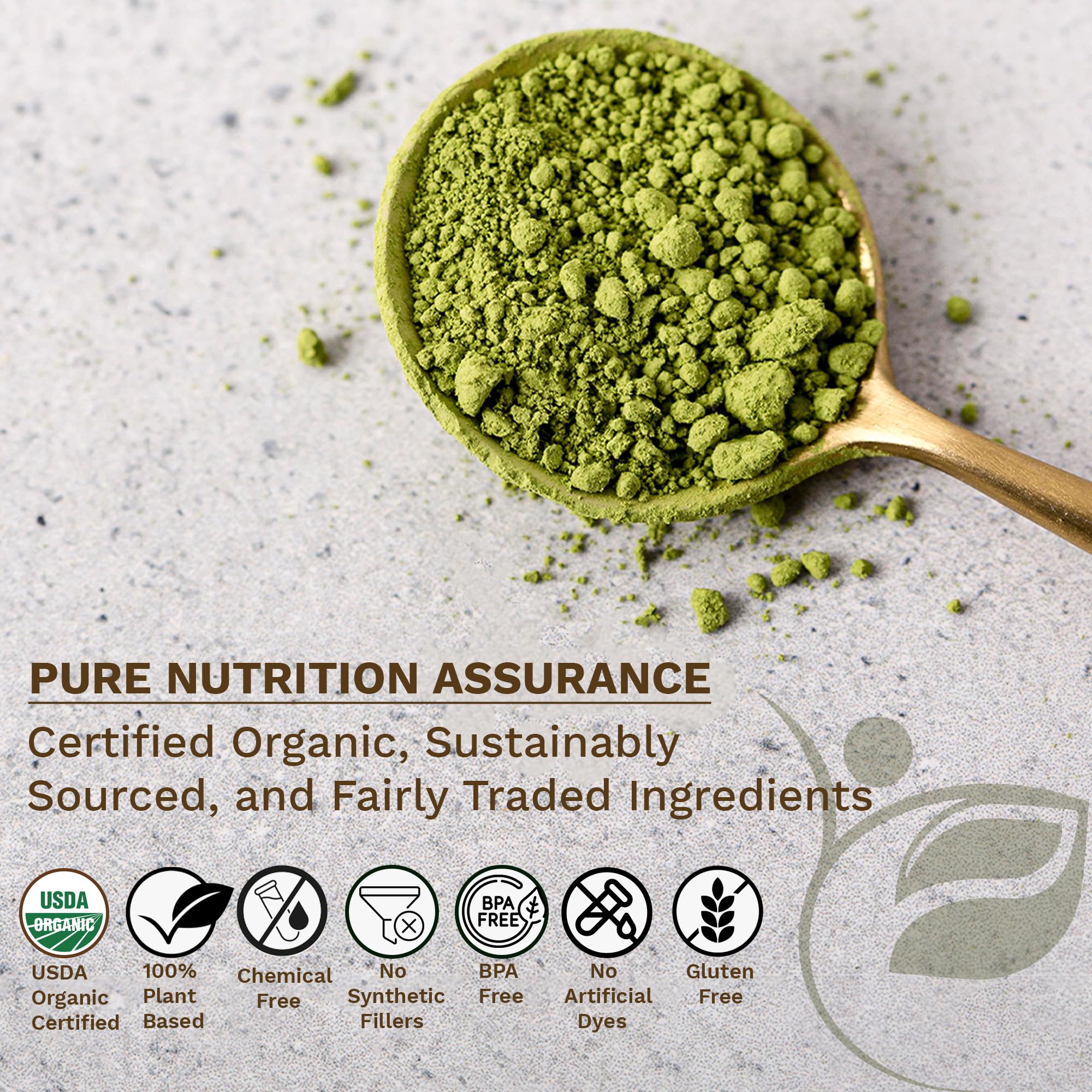 moringa powder for daily nutrition