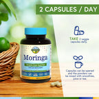 moringa powder for daily vitality
