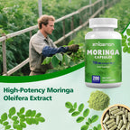 Moringa powder for daily wellness
