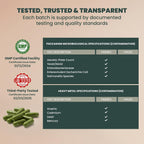 moringa powder for energy boost