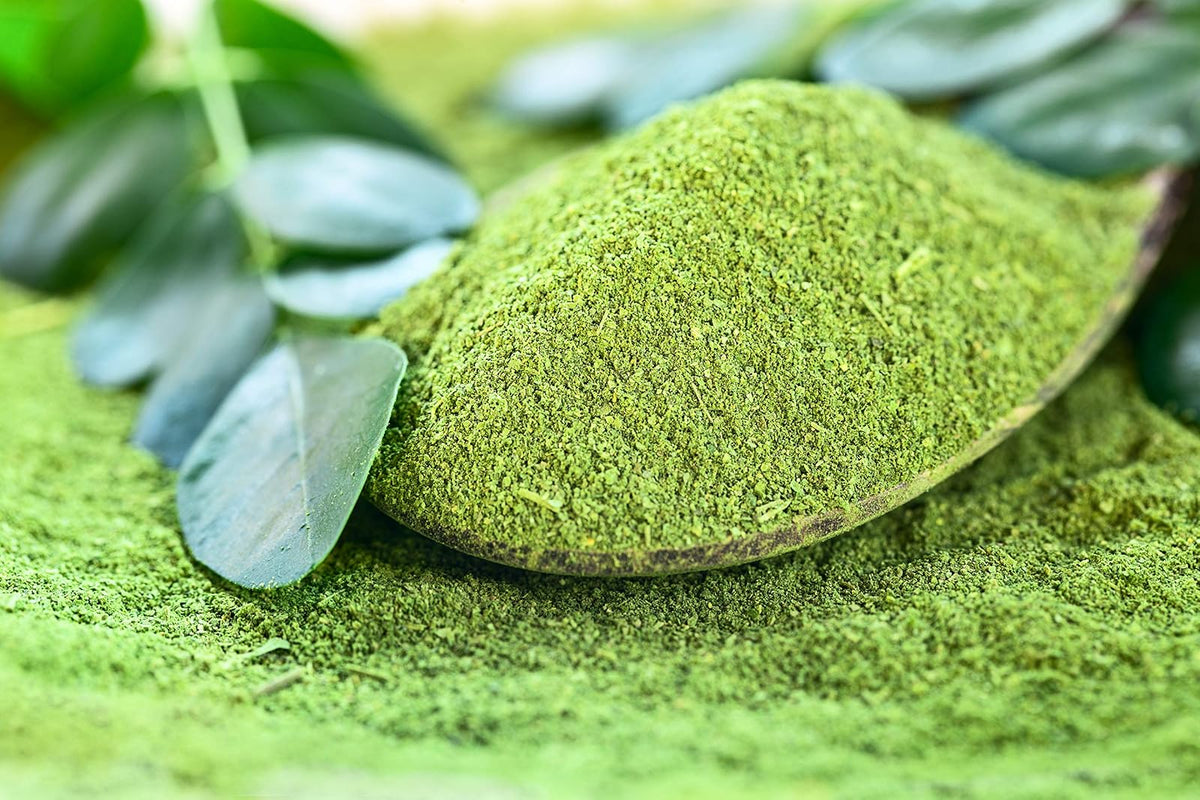 moringa powder for energy boost