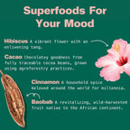 moringa powder for energy boost