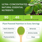 moringa powder for energy boost