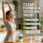 Moringa powder for enhanced metabolism