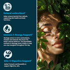 moringa powder for healthy living