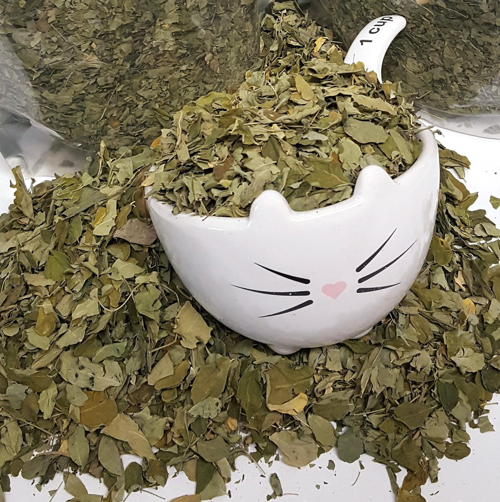 moringa powder for healthy recipes