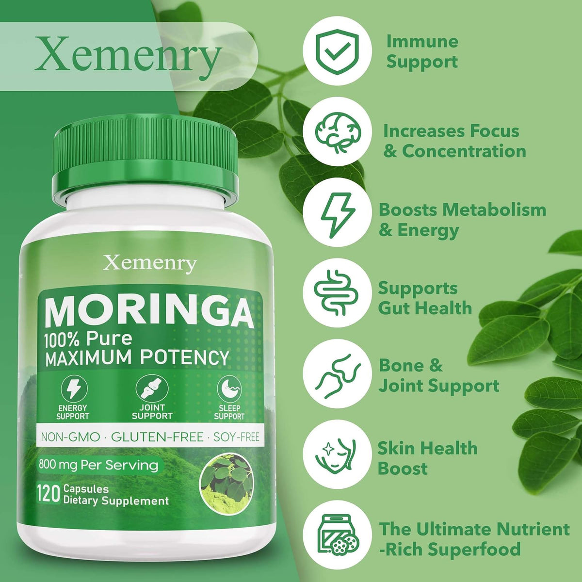 Moringa powder for immune support