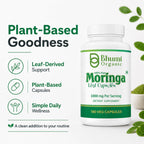 Moringa powder for immune support