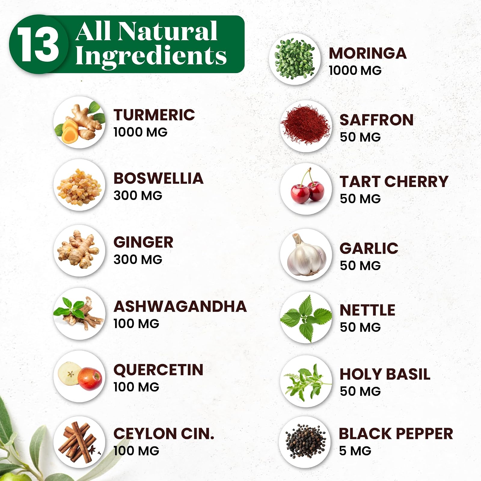 moringa powder for immune support