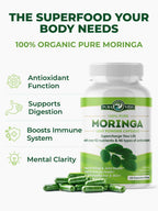 moringa powder for immune support