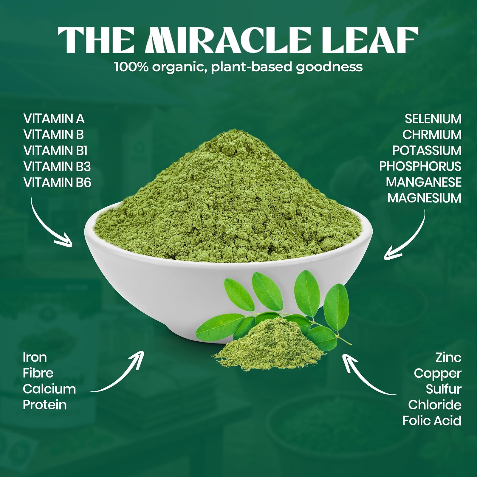 moringa powder for immune support