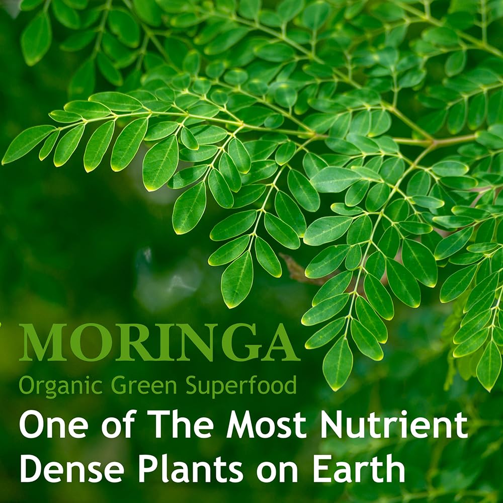 moringa powder for natural detox