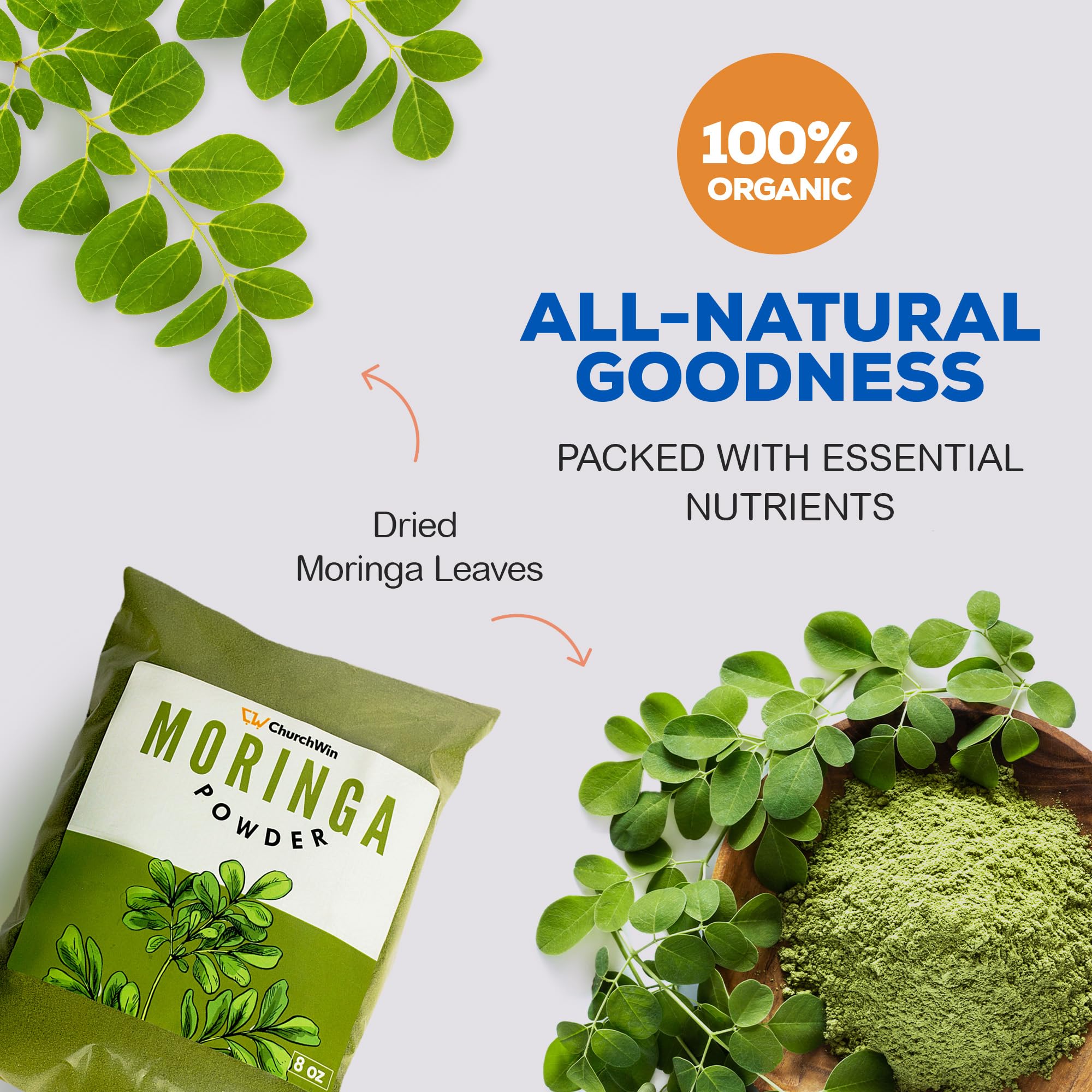 moringa powder for natural energy boost