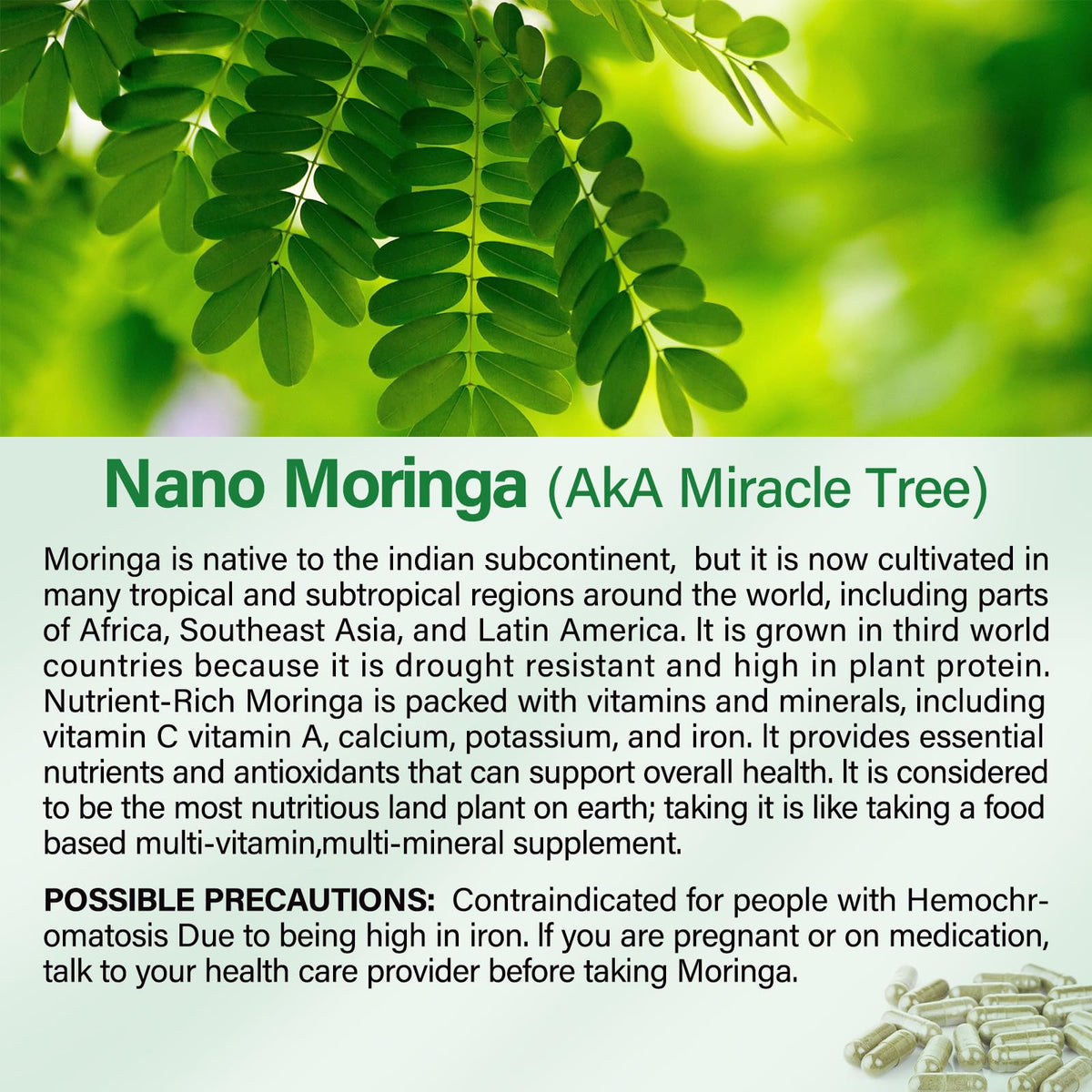 Moringa powder for natural wellness