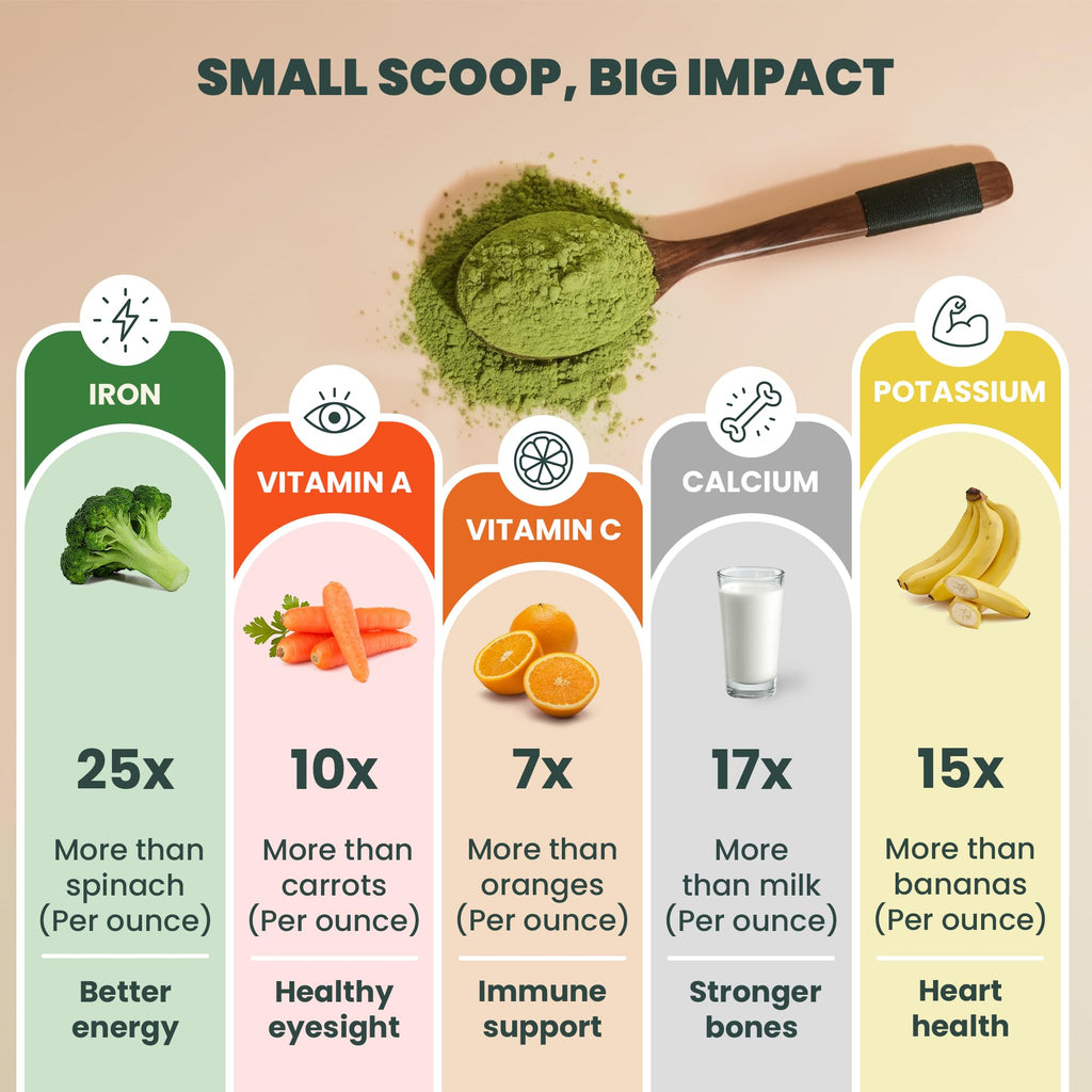 moringa powder for nutritional support