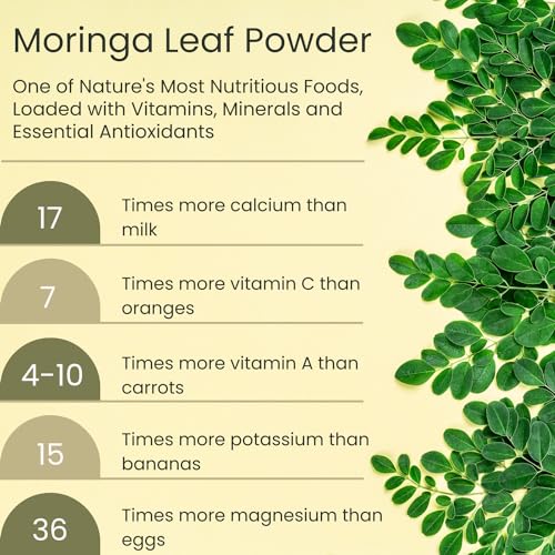 moringa powder for overall wellness