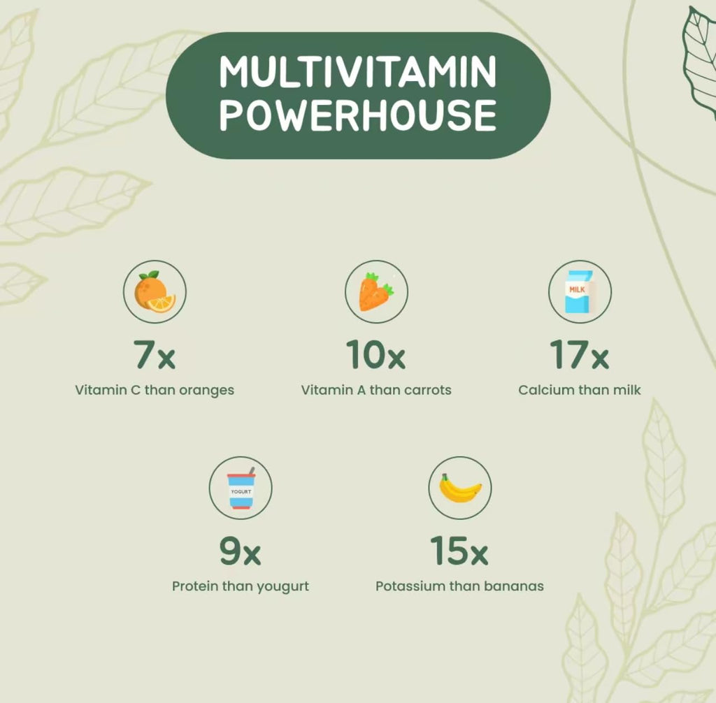 moringa powder for weight management