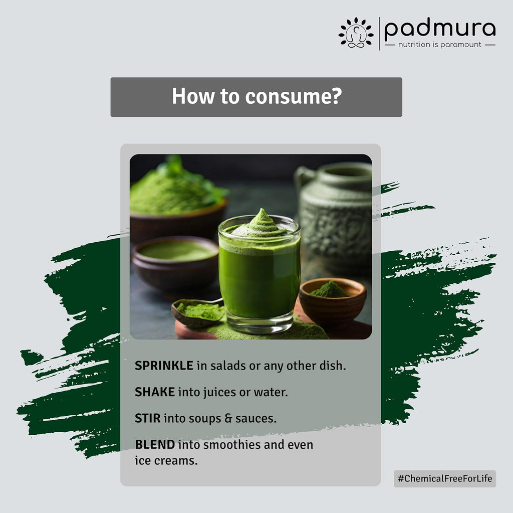 moringa powder rich in vitamins
