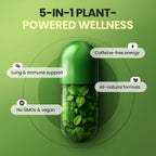 moringa powder supplement for vitality