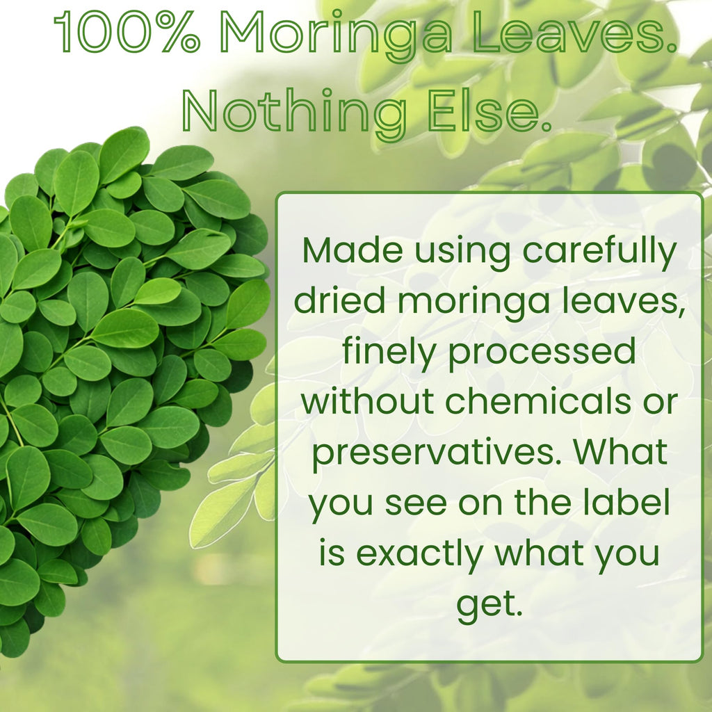moringa powder to enhance teas
