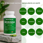 Moringa Pure for daily nutrition