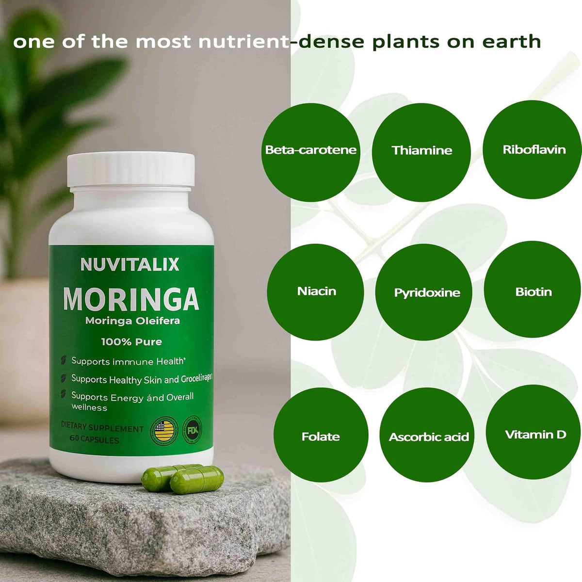 Moringa Pure for daily nutrition