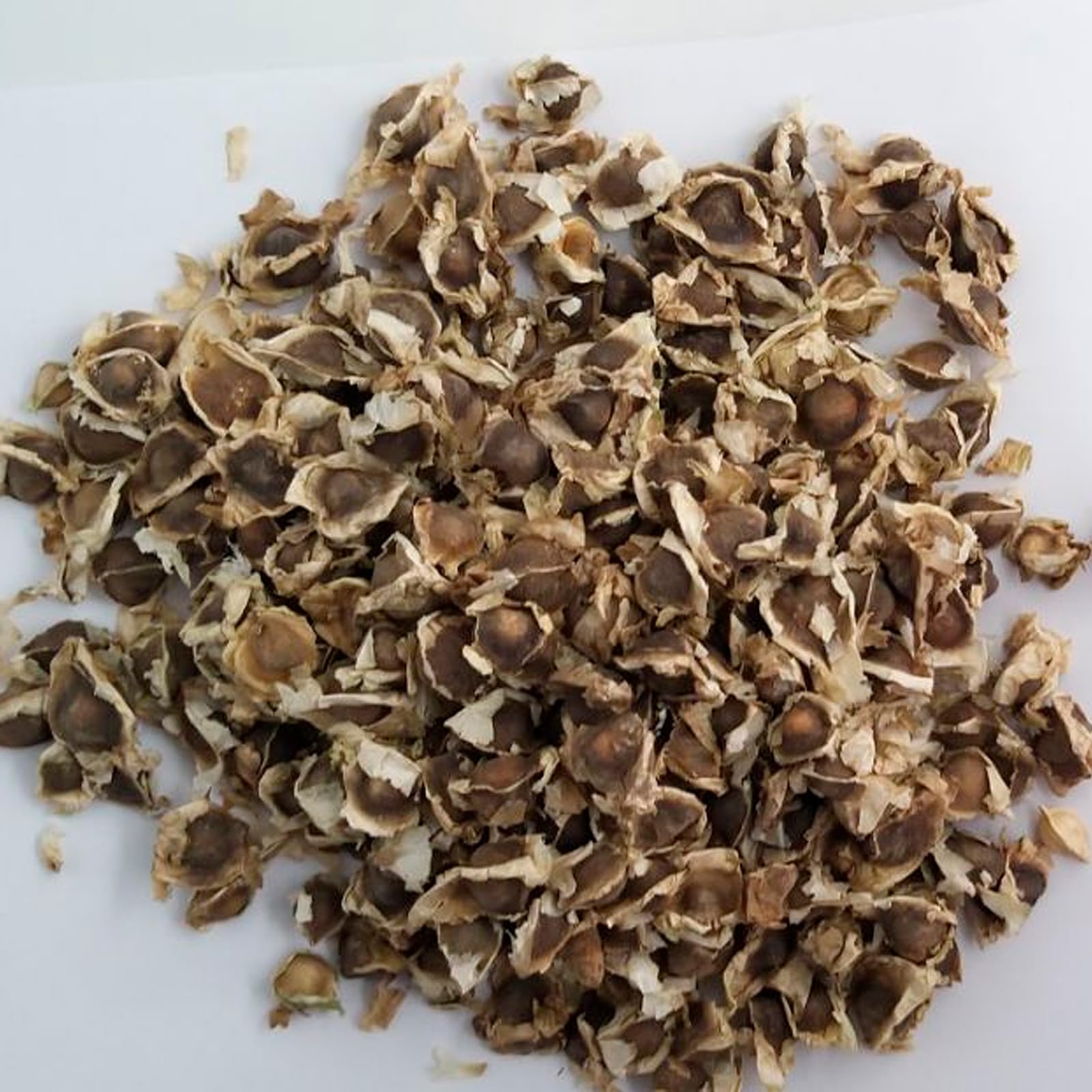 Moringa seed powder for nutritious smoothies