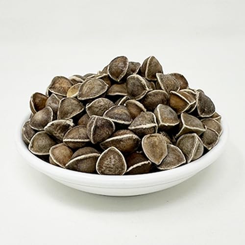 Moringa seeds for energy and vitality