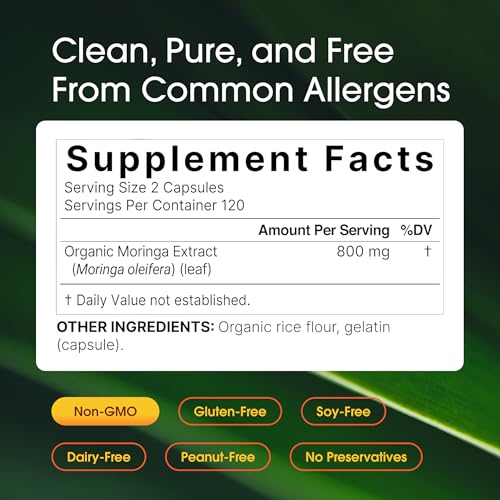 moringa superfood for daily nutrition