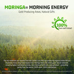 Moringa supplement for active lifestyles