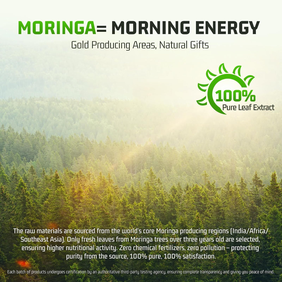Moringa supplement for active lifestyles