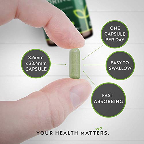 moringa supplement for balanced nutrition
