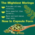 moringa supplement for daily nutrition
