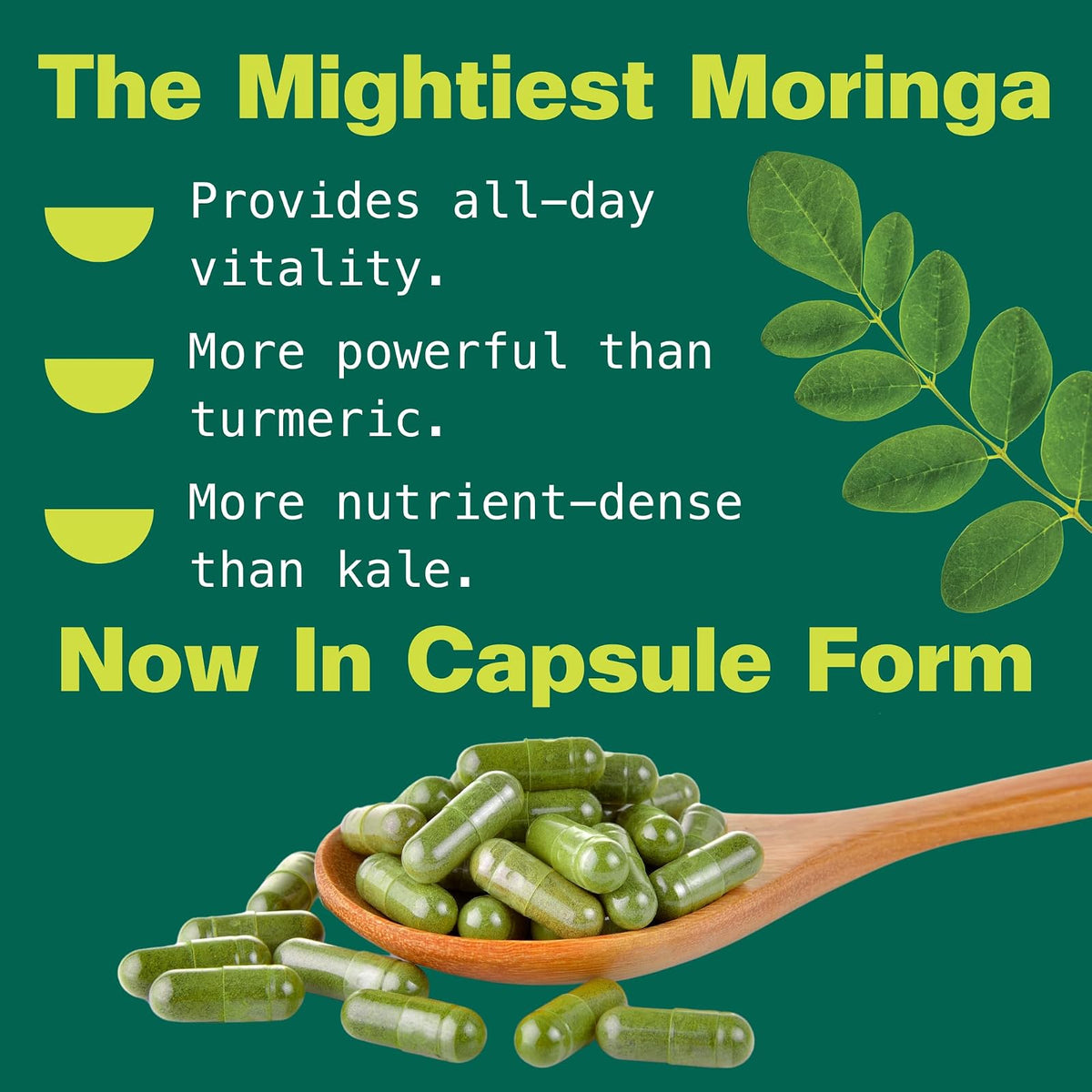 moringa supplement for daily nutrition