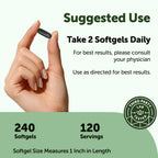 Moringa supplement for immune support