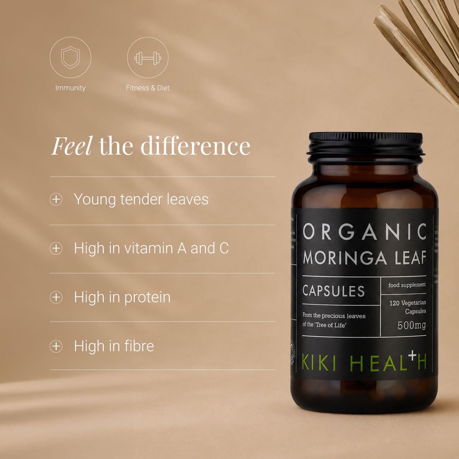 moringa supplements for energy boost