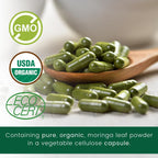 Moringa supplements for immune support