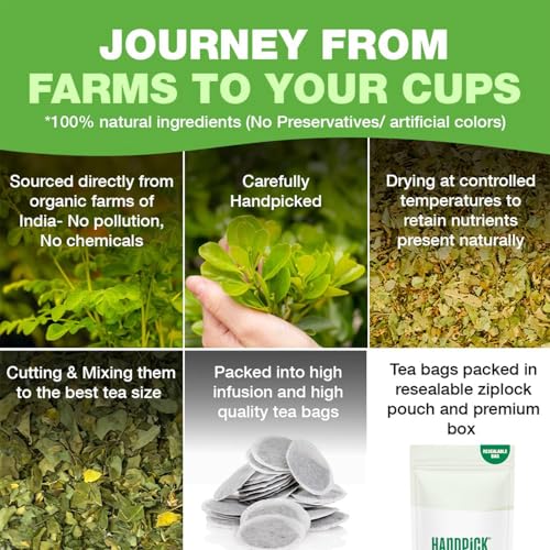 moringa tea bags rich in nutrients